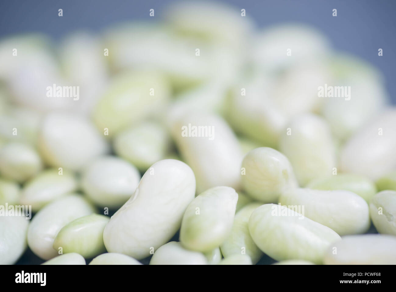 fresh white kidney beans macro on table Stock Photo - Alamy