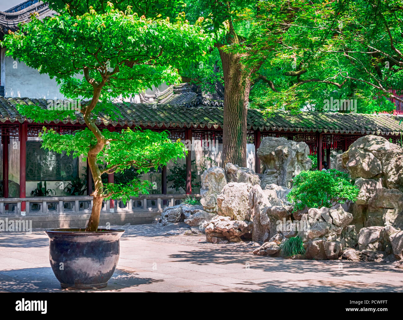 Traditional Chinese garden with rocks and trees at Yu Gardens, Shanghai ...