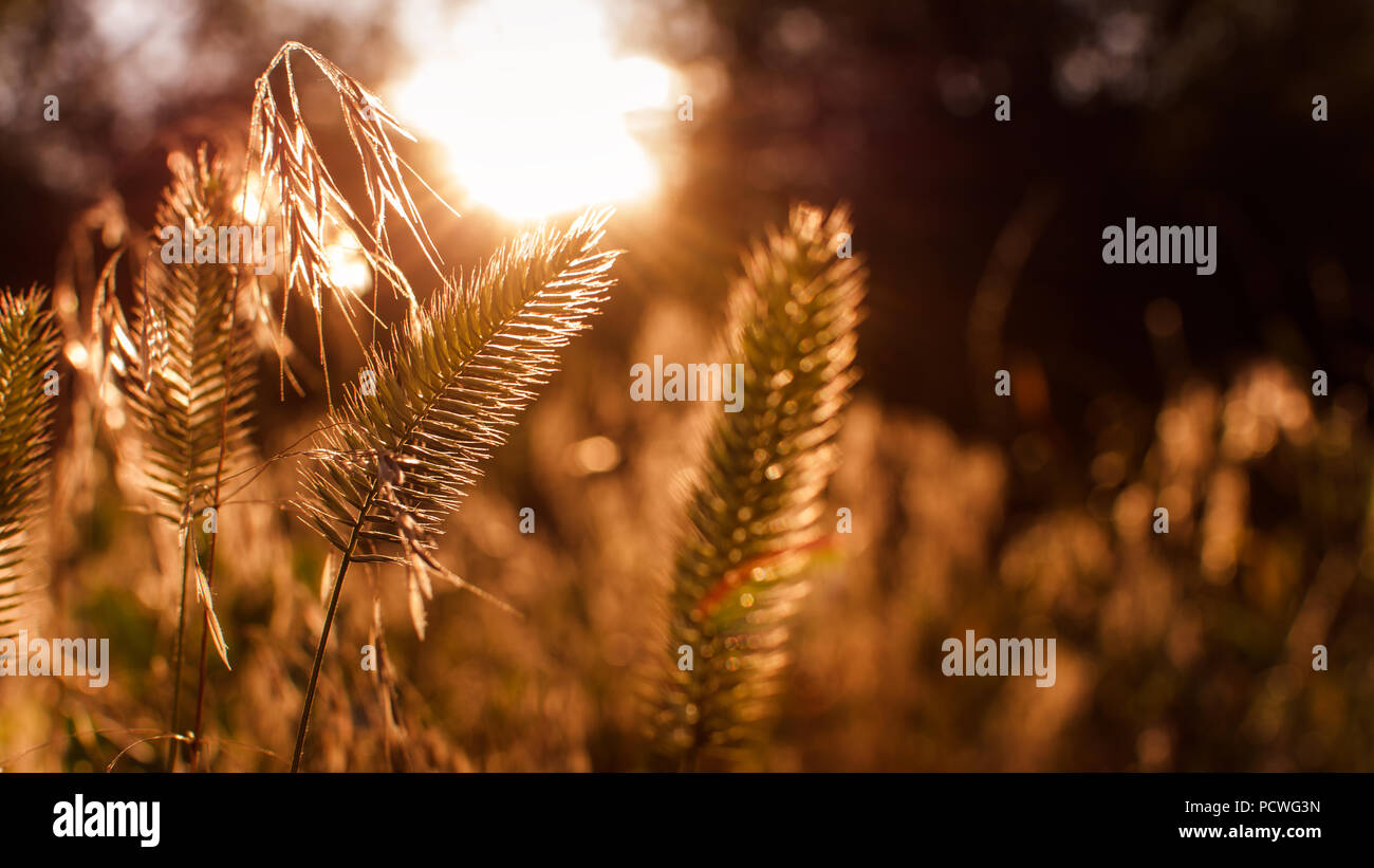 Sustainable sunlight hi-res stock photography and images - Alamy