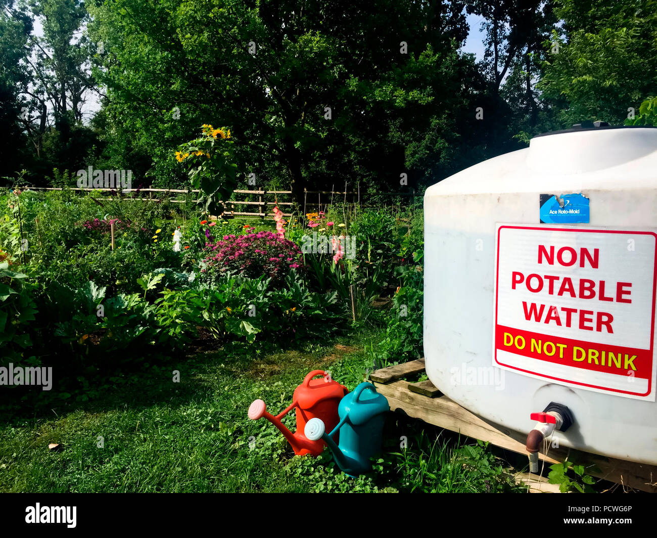 Grow vegetables with flowers hi-res stock photography and images - Alamy
