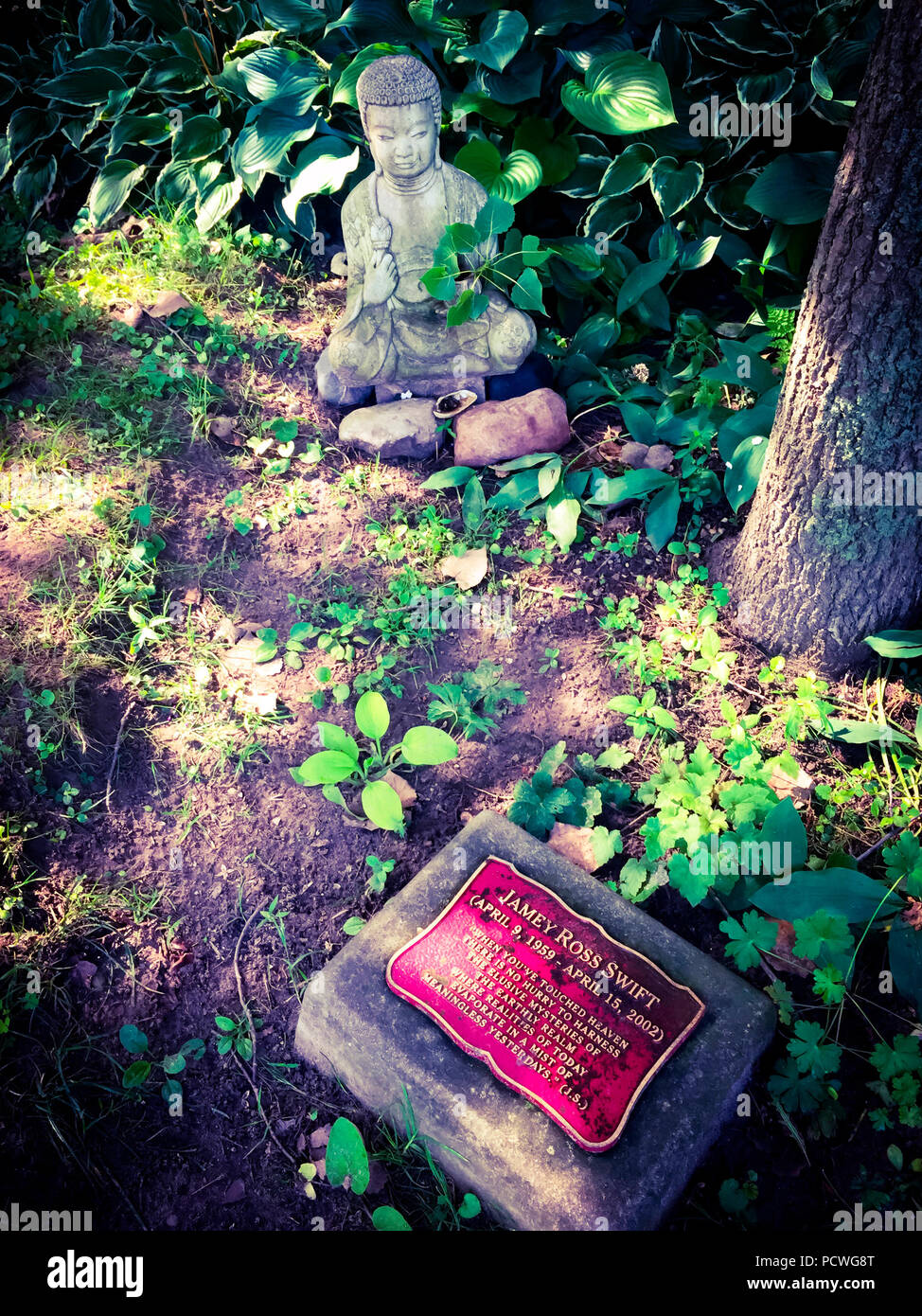 A Buddha statue under a tree along with a commemorative plaque in a ...