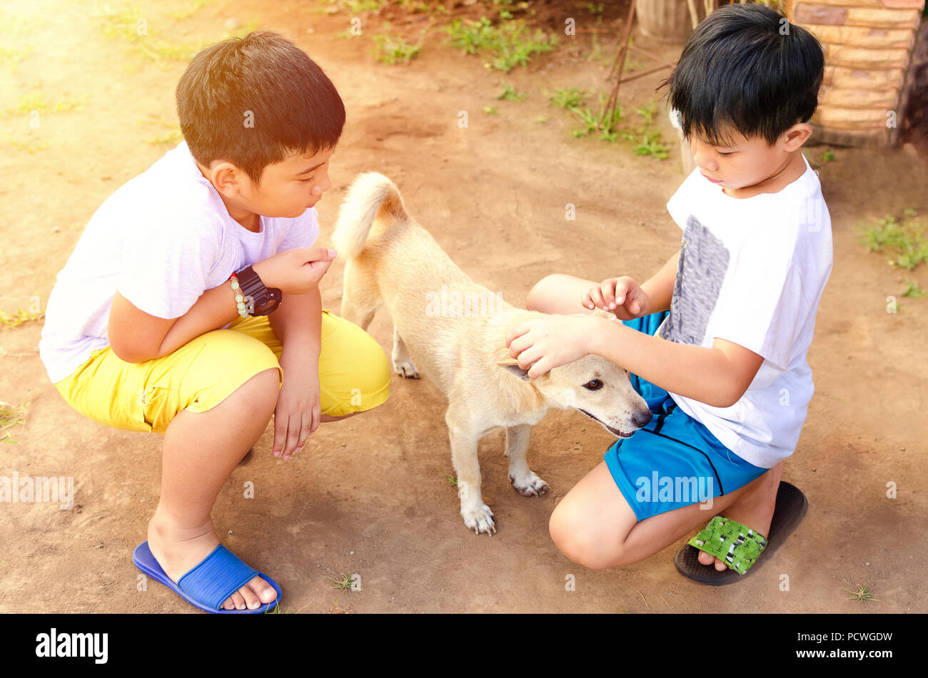 Two boys with dog hi-res stock photography and images - Alamy