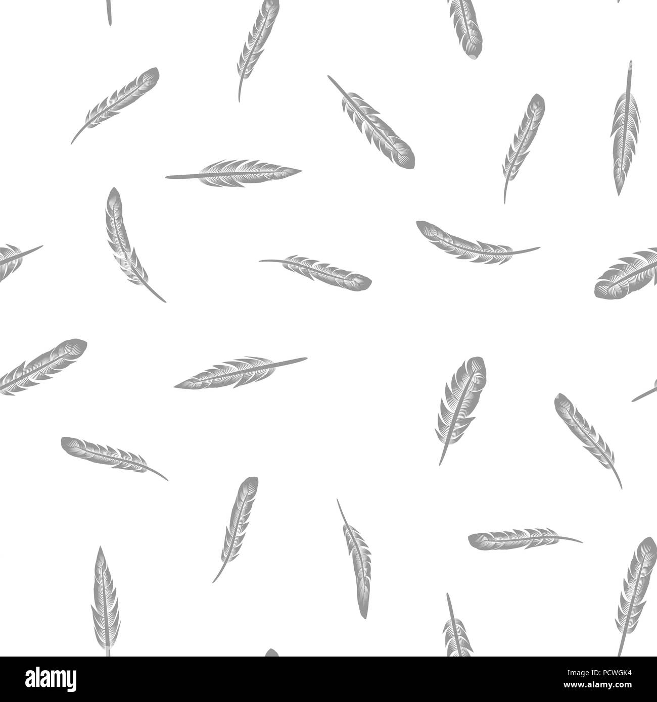 Grey Feathers Seamless Pattern on White Background Stock Photo - Alamy