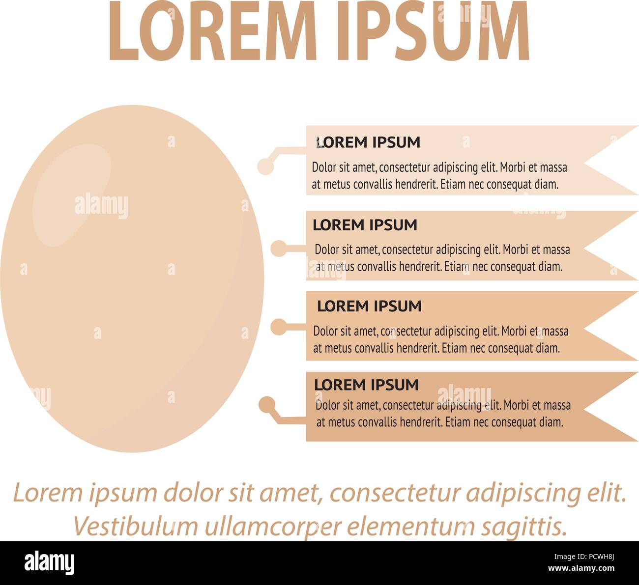 Healthy food plate chart Stock Vector Images - Alamy
