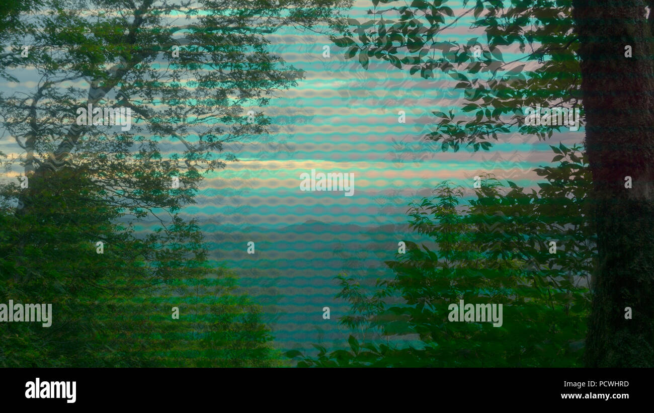 A psychedelic view of forest scenery in Western North Carolina Stock ...