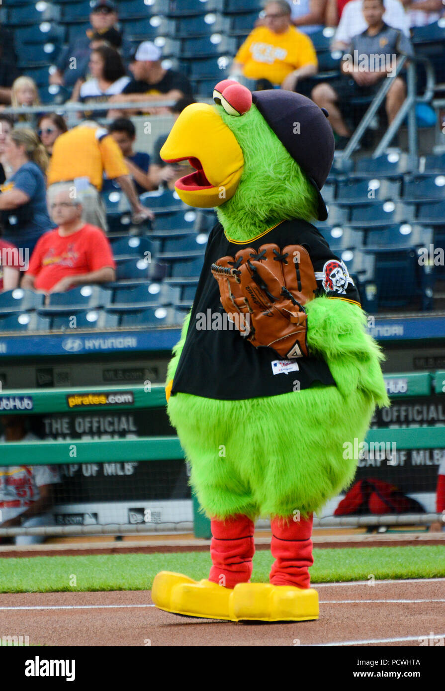 Pirate Parrot Mascot 2022