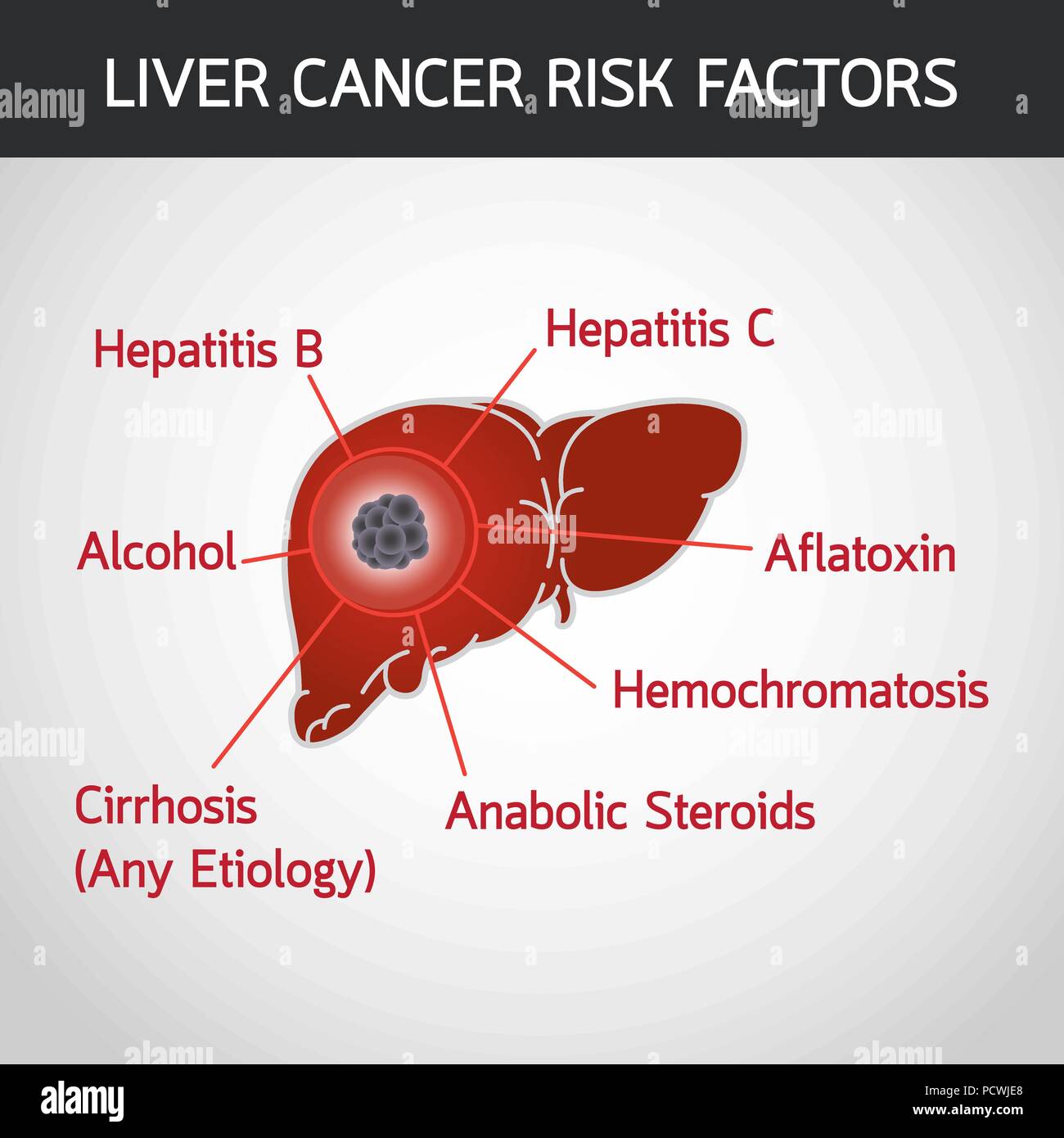 Liver Cancer Risk Factors Vector Logo Icon Illustration Stock Vector