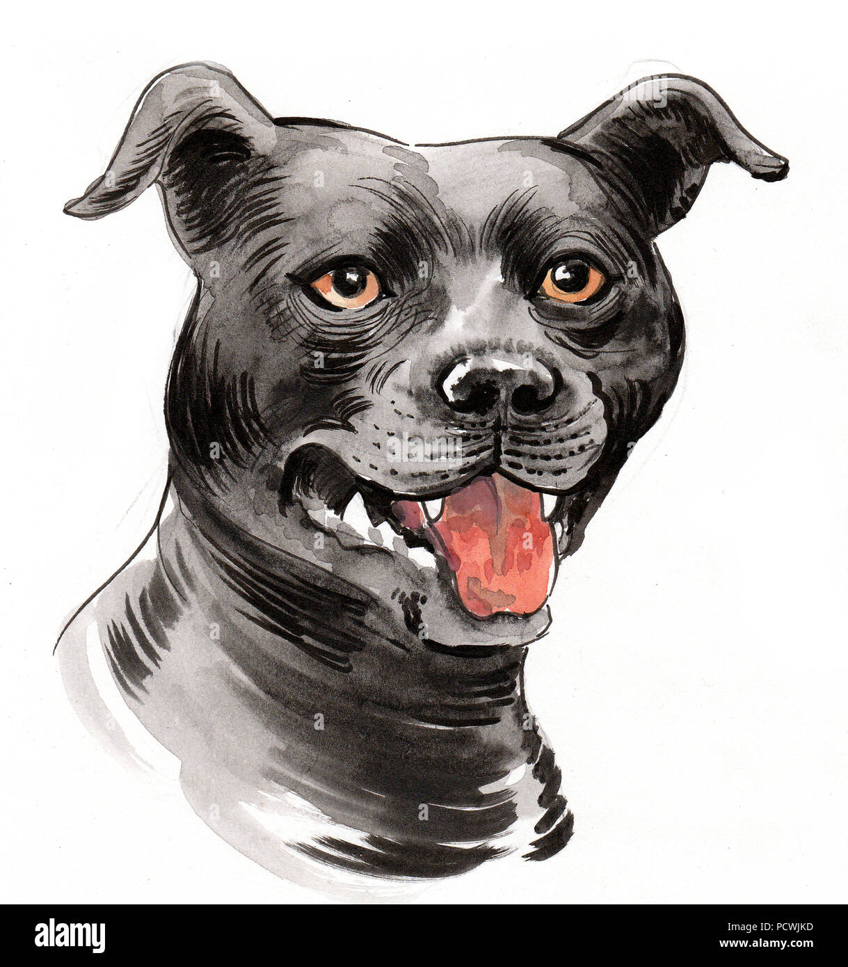 Black dog portrait. Ink and watercolor illustration Stock Photo - Alamy