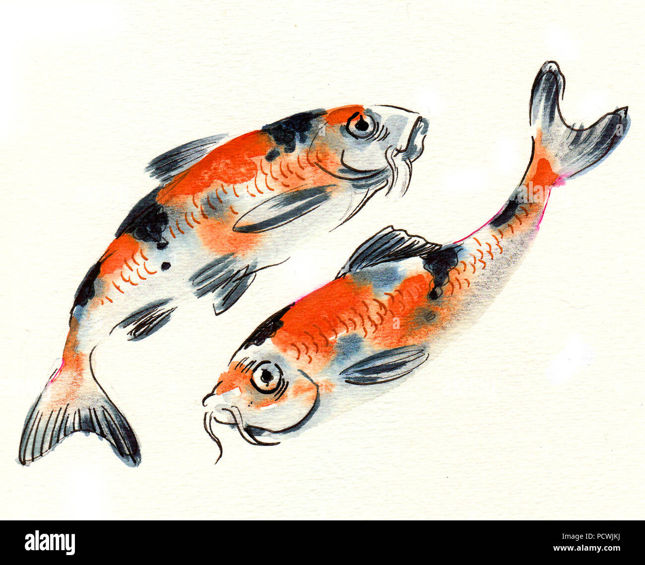 Realistic Koi Fish Drawing