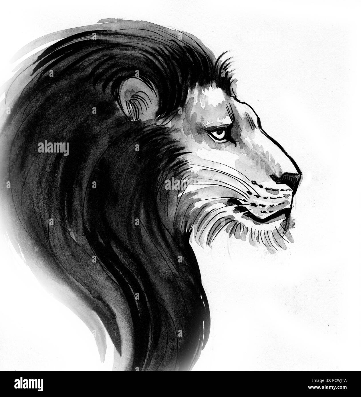Lion's head. Ink and watercolor illustration Stock Photo - Alamy