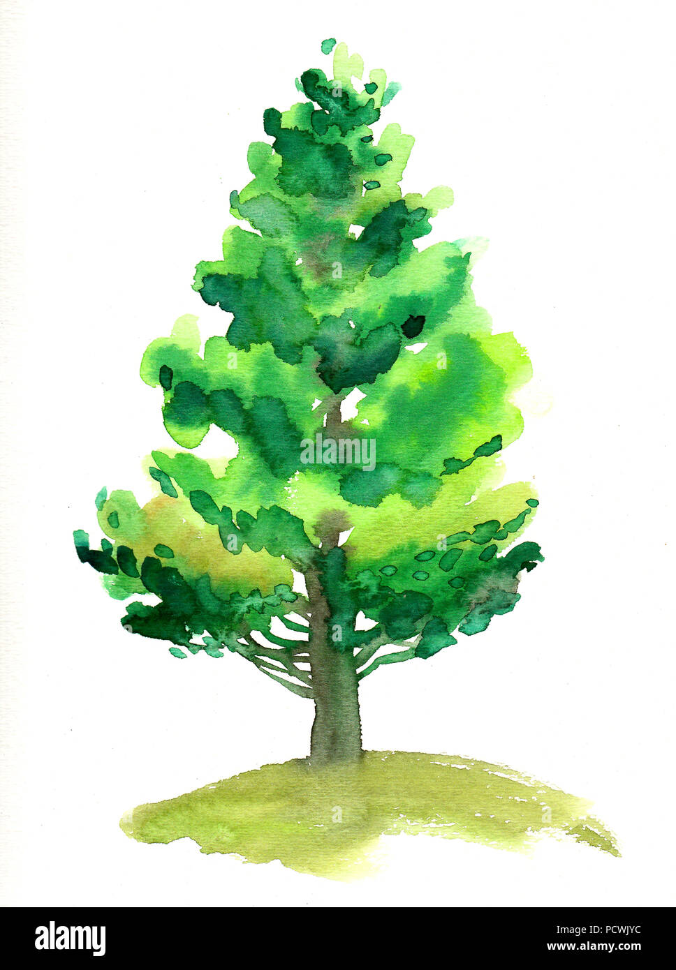 Watercolor green tree Stock Photo - Alamy