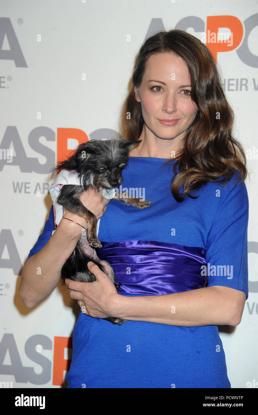 NEW YORK, NY - APRIL 09: Amy Acker attends ASPCA'S 18th Annual Bergh ...