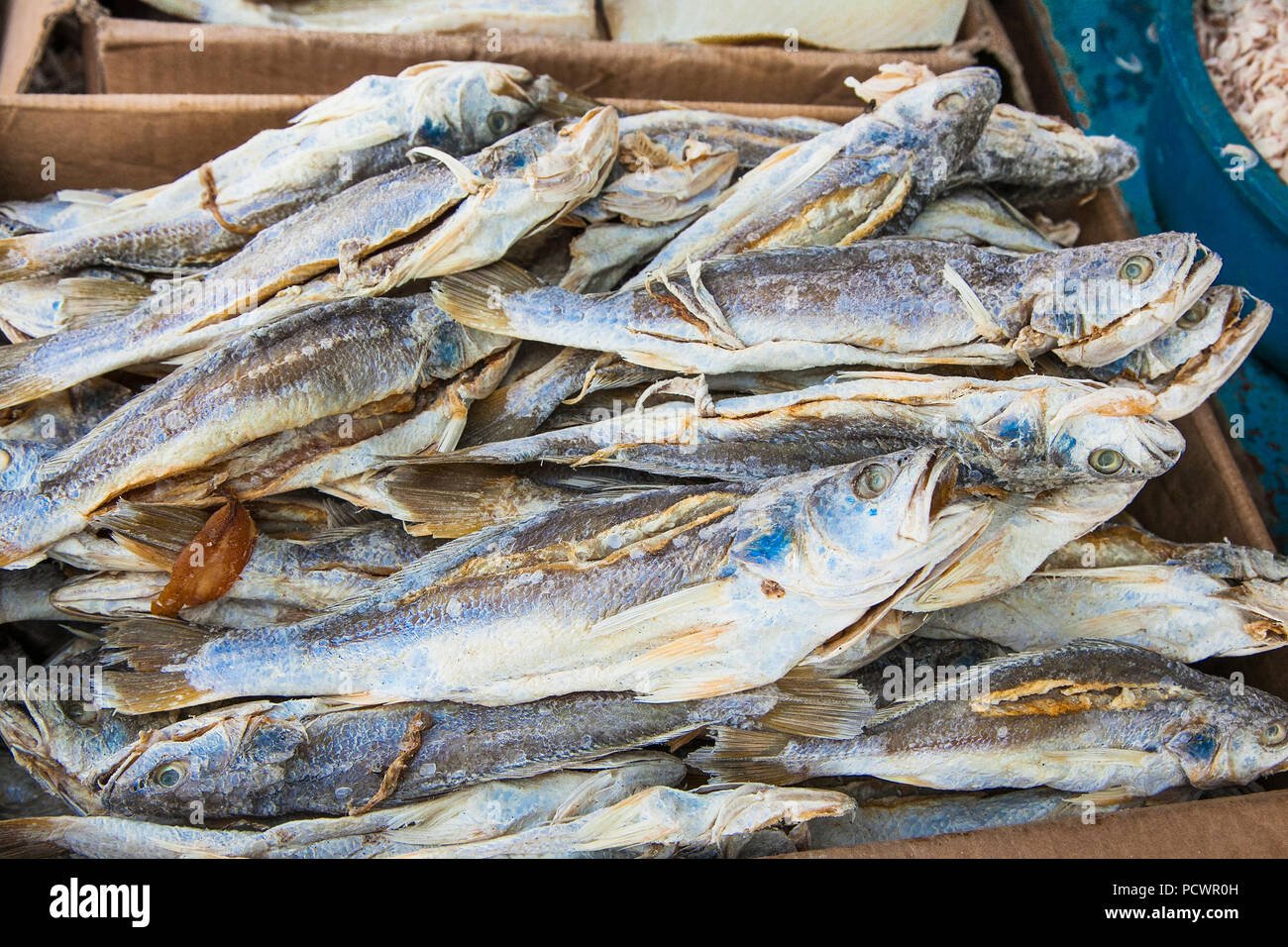 Colombo fish market hi-res stock photography and images - Alamy
