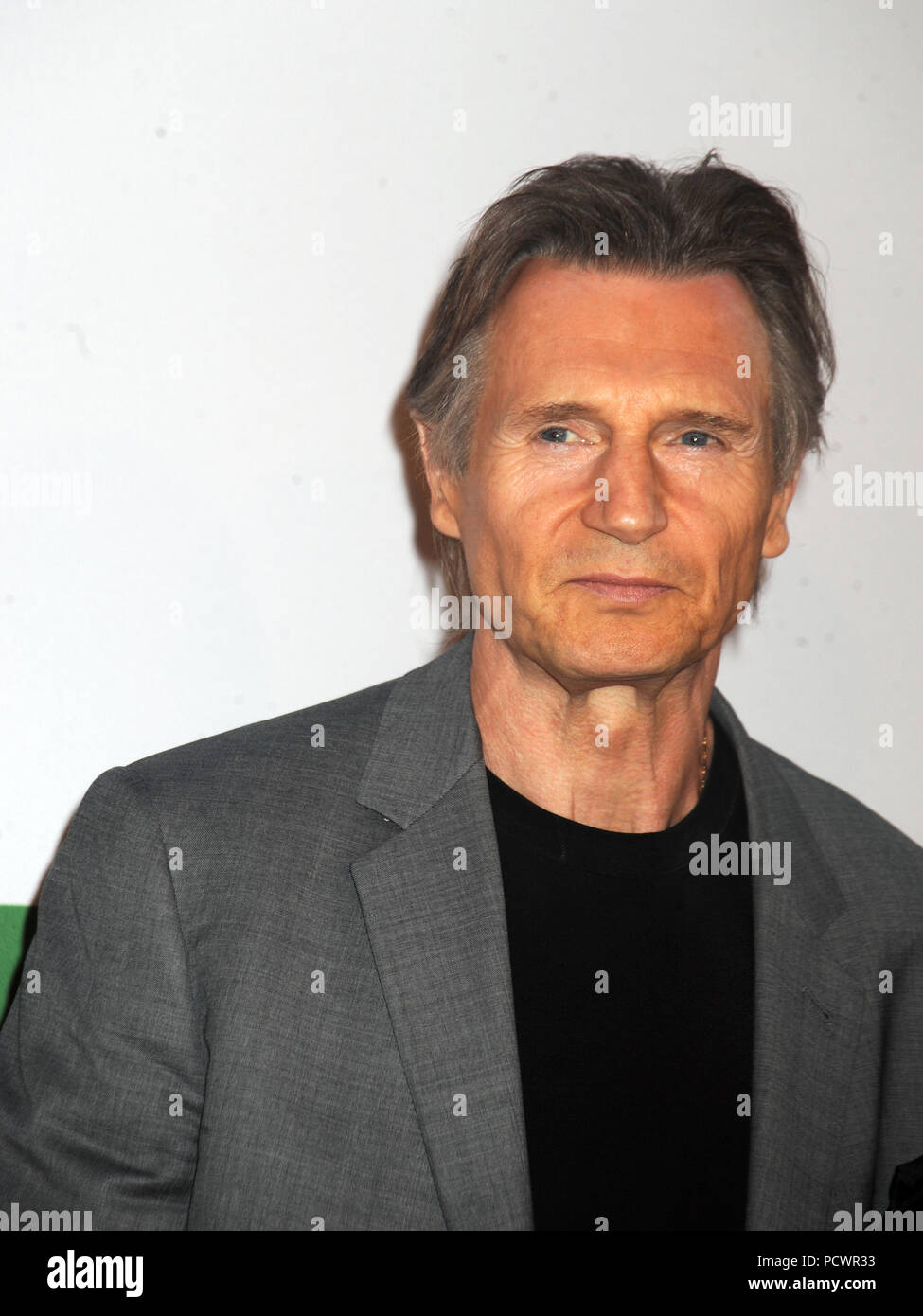 NEW YORK, NY - JUNE 24: Liam Neeson attends the 'Ted 2' New York ...