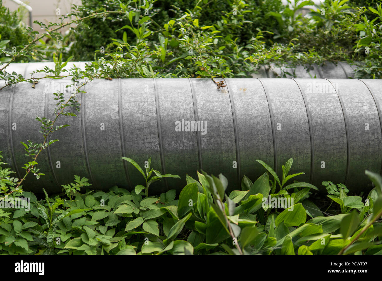 Industrial metal gas pipe in a green grass Stock Photo - Alamy