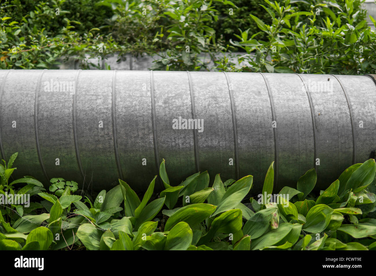 Industrial metal gas pipe in a green grass Stock Photo - Alamy