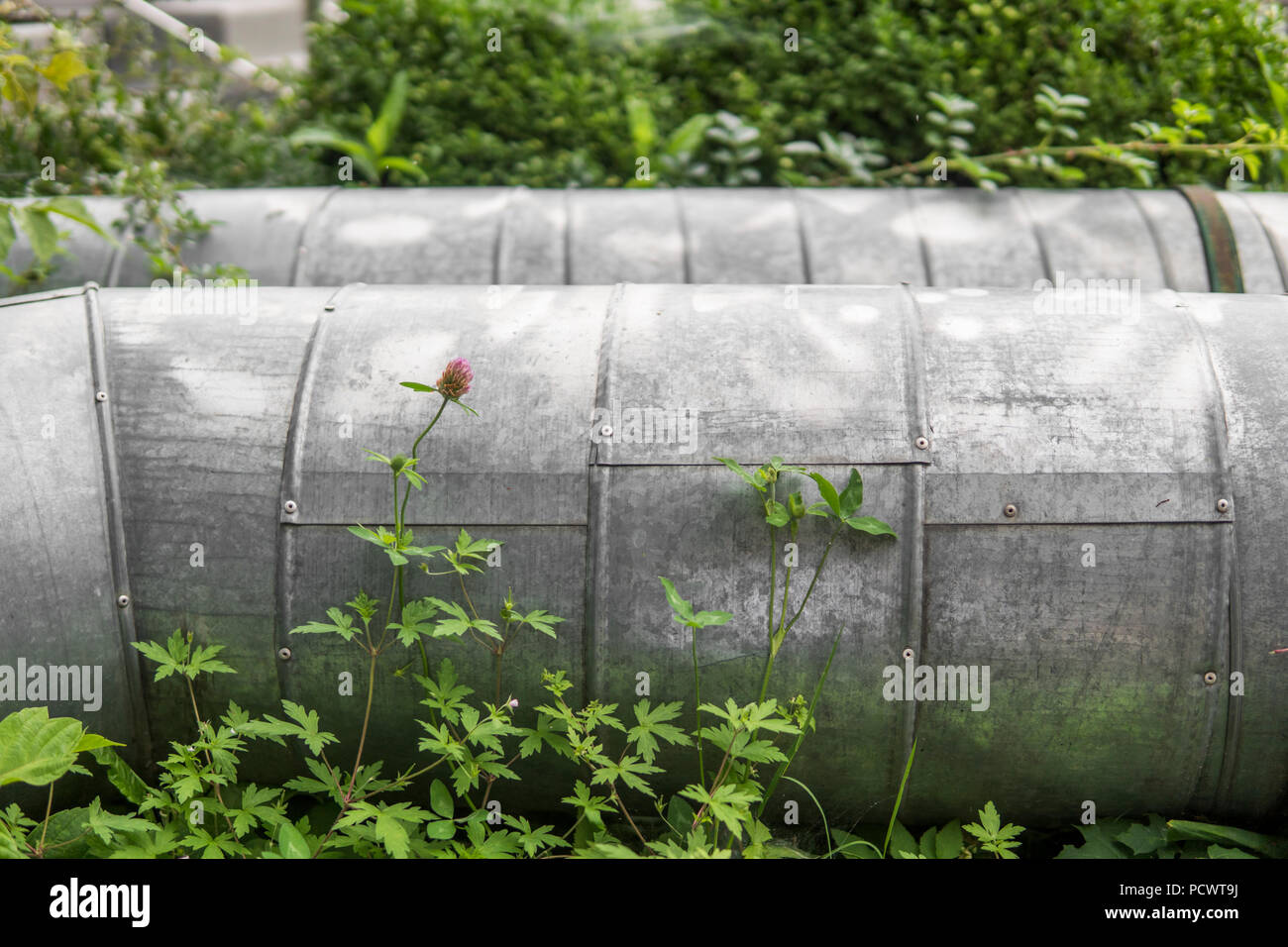 Industrial metal gas pipe in a green grass Stock Photo - Alamy