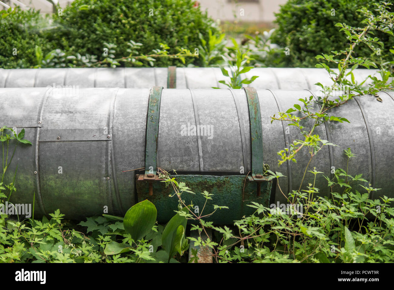 Industrial metal gas pipe in a green grass Stock Photo - Alamy