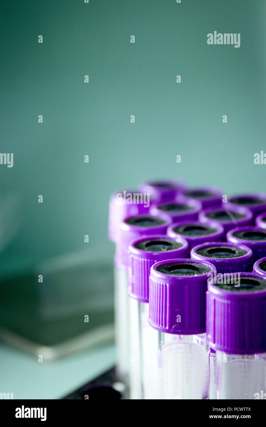 Vials for veterinary use to cure different diseases. No people Stock ...