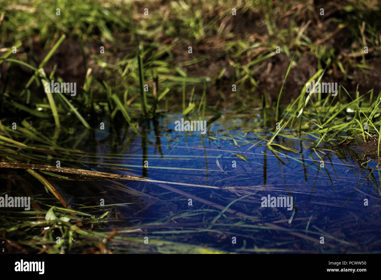 Backyard creek hi-res stock photography and images - Alamy