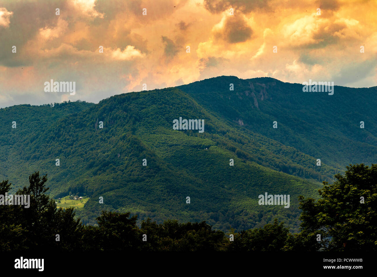 the mountain view in defileul jiului national park Stock Photo - Alamy