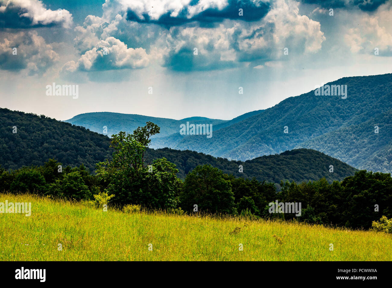 the mountain view in defileul jiului national park Stock Photo - Alamy