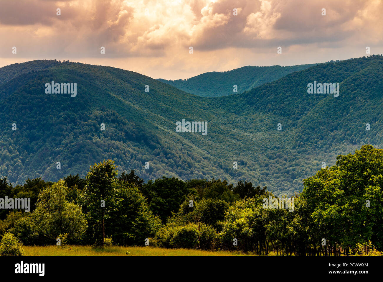 the mountain view in defileul jiului national park Stock Photo - Alamy