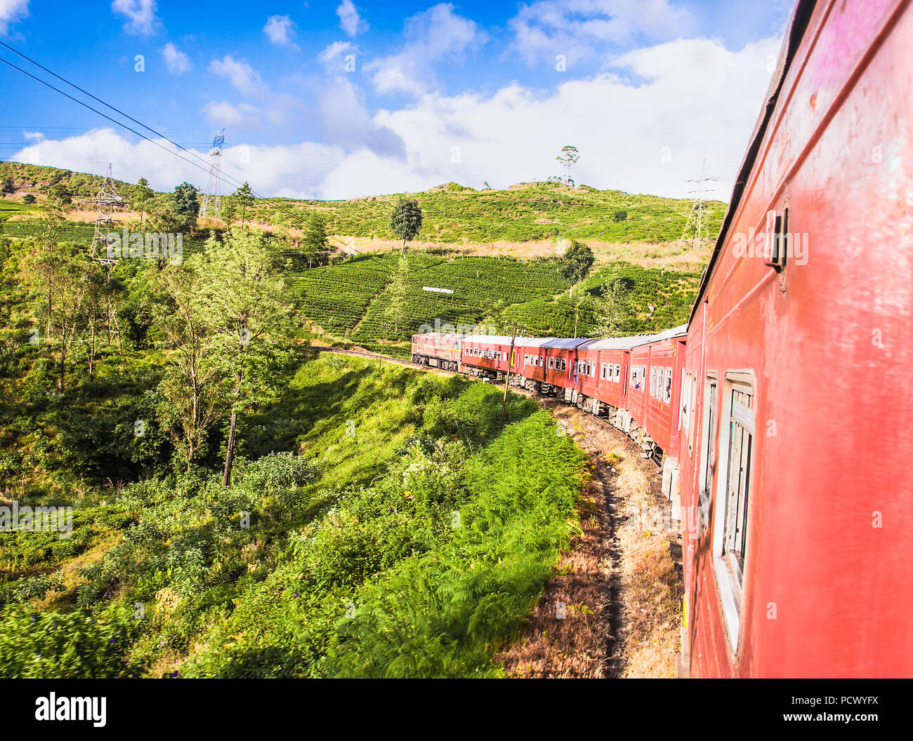 Train goes through tea plantation in Nuwara Eliya district, Sri Lanka ...