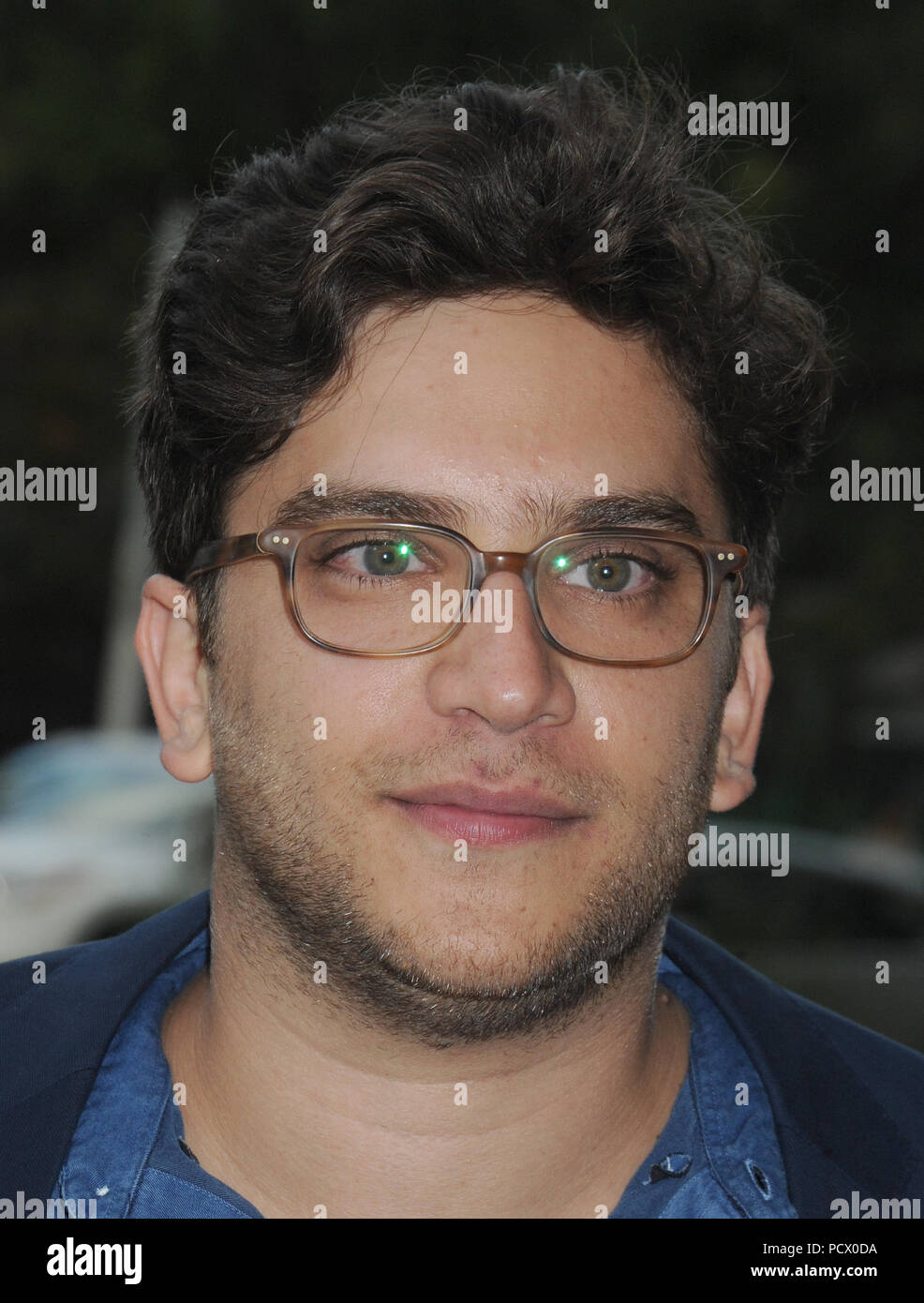 NEW YORK, NY - AUGUST 12: Matthew Shear attends the 'Mistress America ...