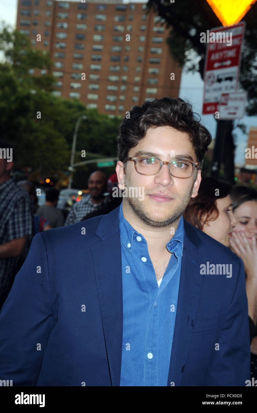 NEW YORK, NY - AUGUST 12: Matthew Shear attends the 'Mistress America ...