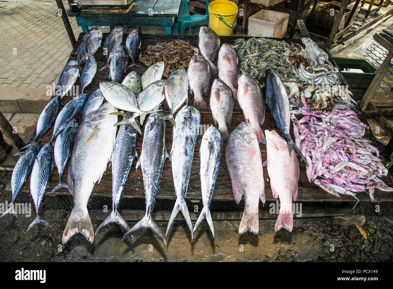 Various freshly caught fish at wooden counter on Weligama street market ...