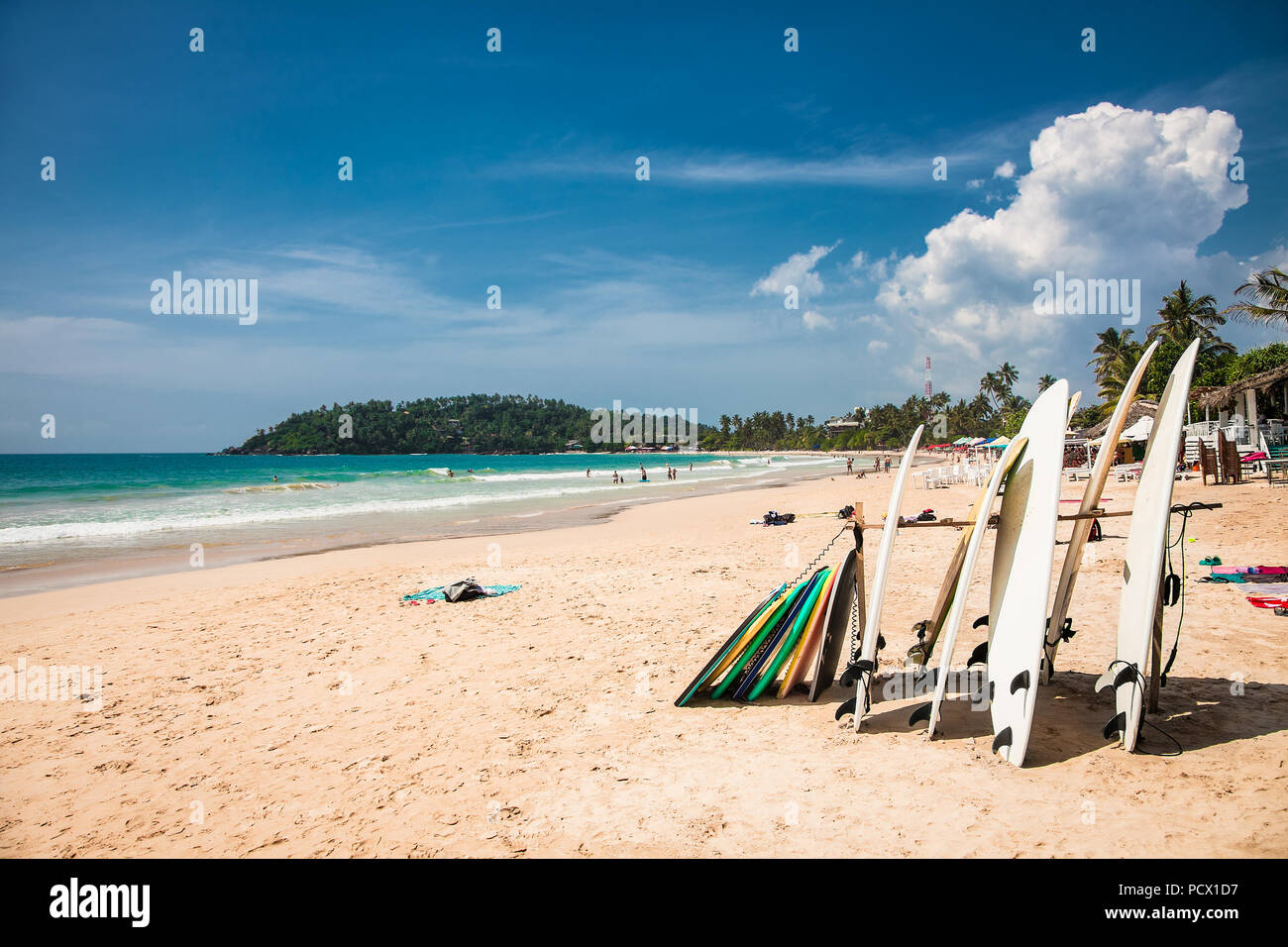 Surf boards on wonderful sand beach in Mirissa. Sri Lanka Stock Photo ...
