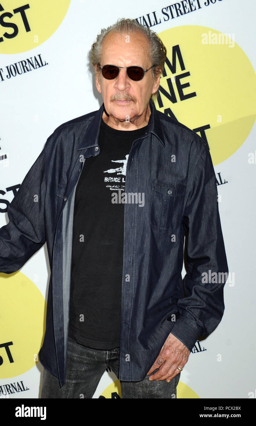 NEW YORK, NY - JUNE 25: Larry Clark attends BAMcinemaFest 2015 'Kids ...