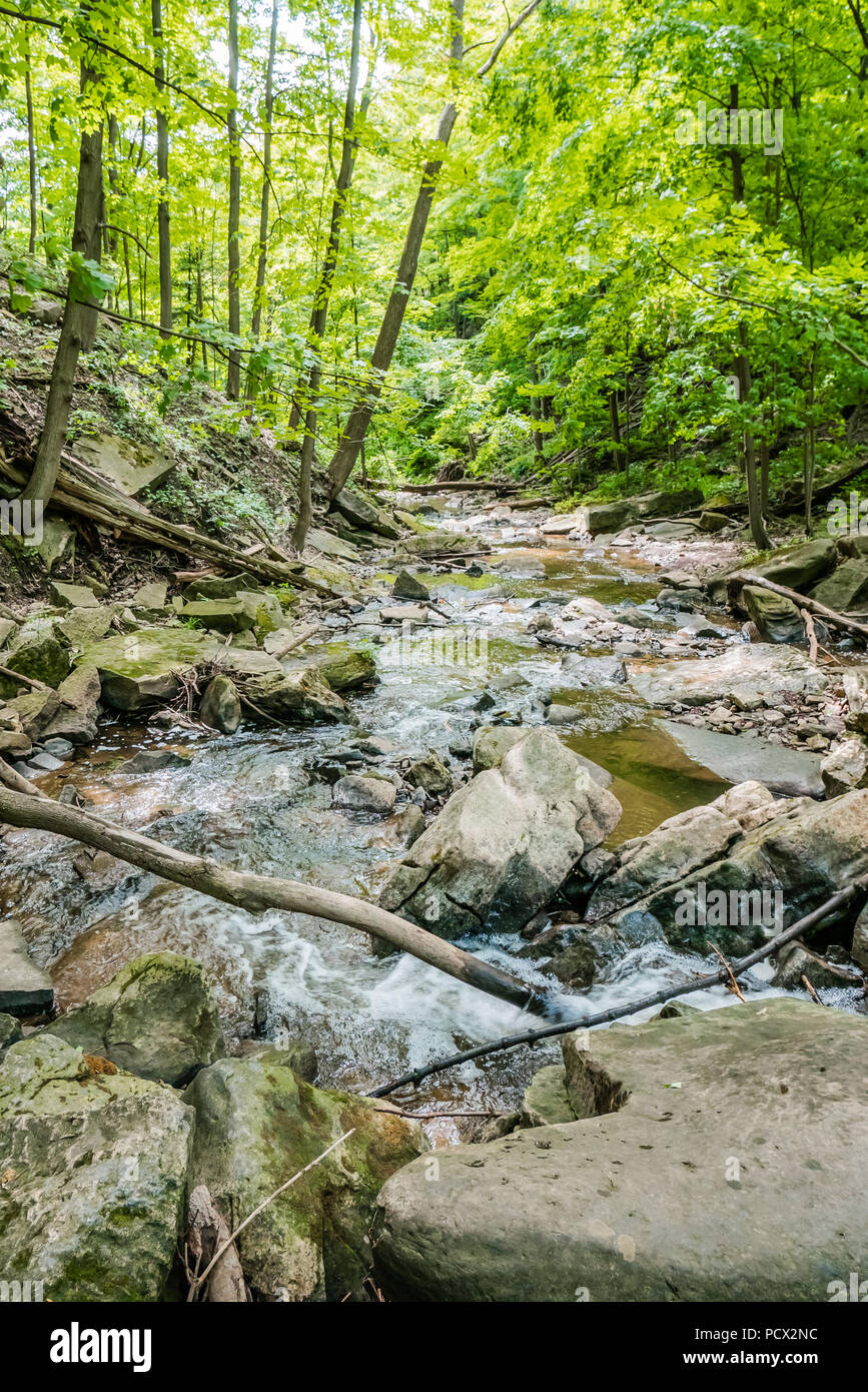 forest river and rocks Stock Photo - Alamy