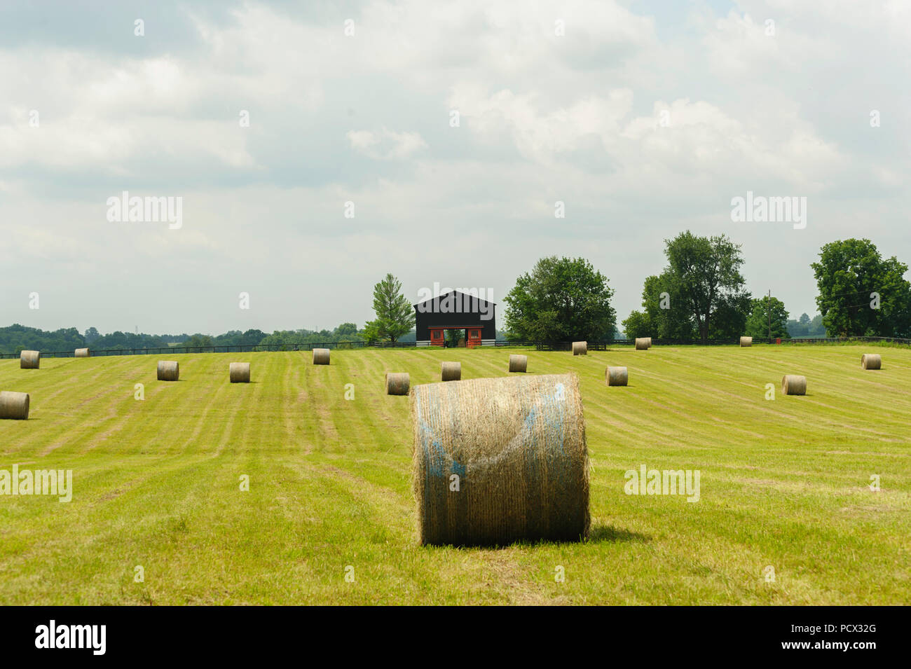 Hayfield on a Kentucky farm Stock Photo - Alamy