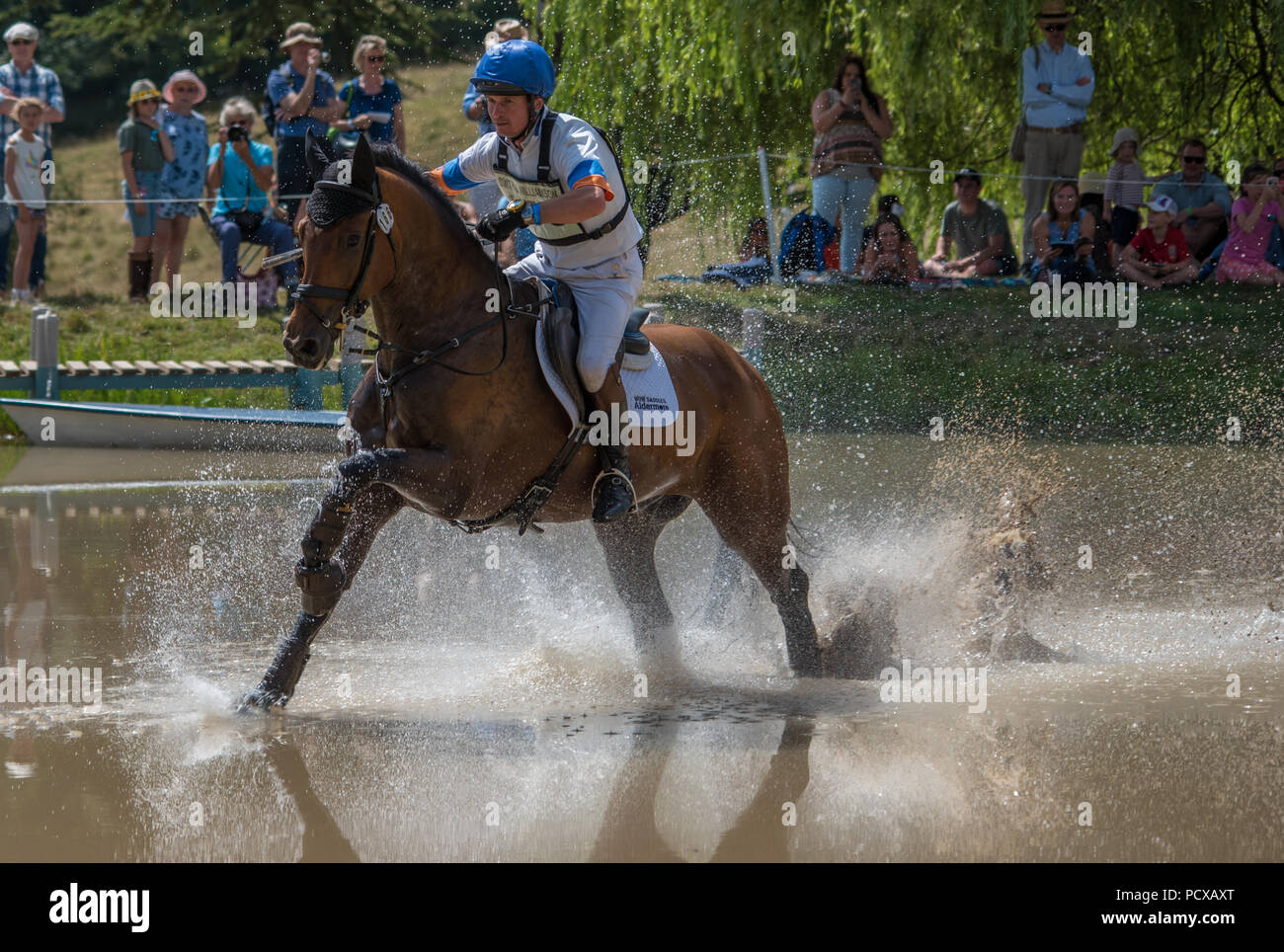 Francis williamson hi-res stock photography and images - Alamy