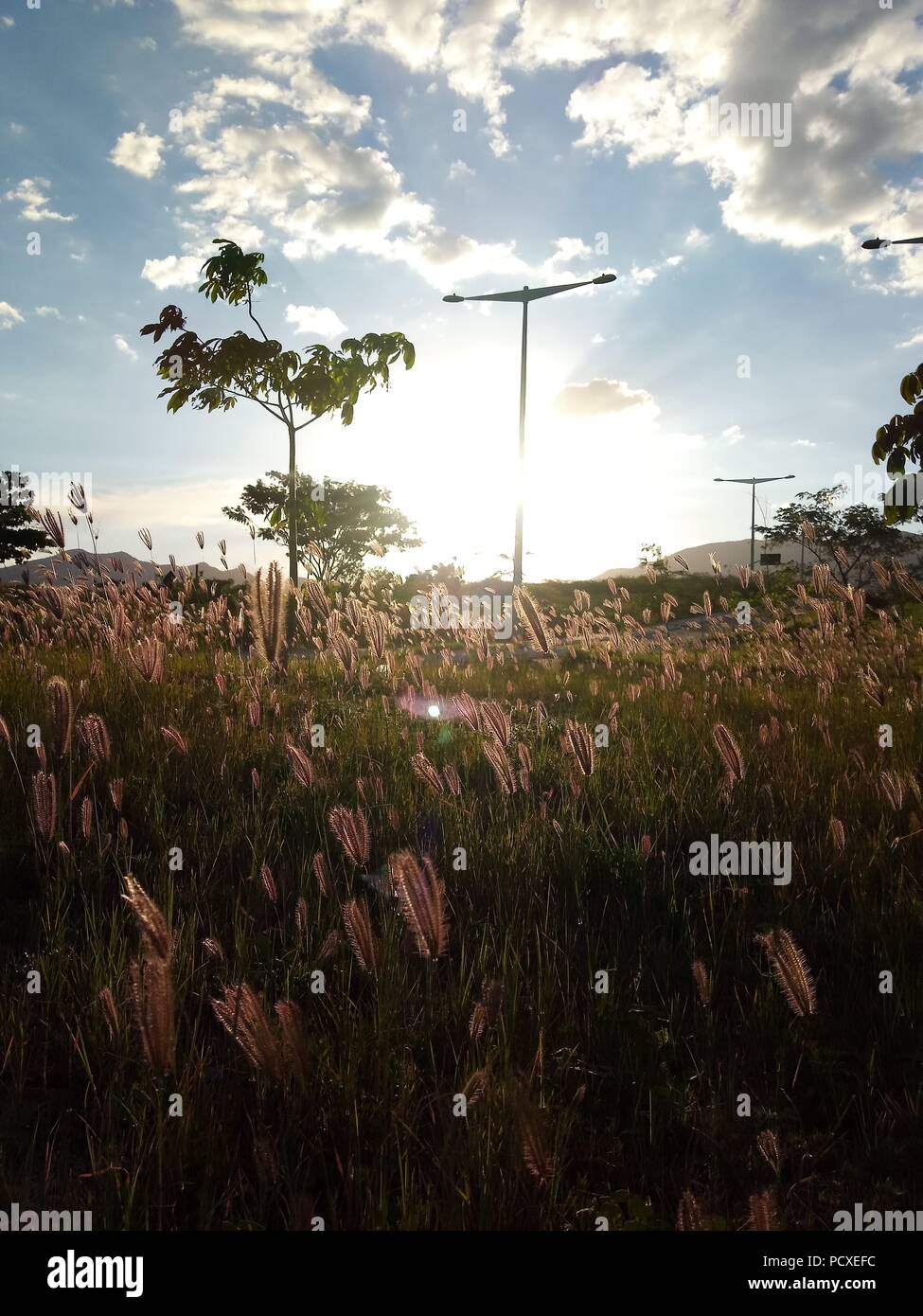 Sunset from another view Stock Photo - Alamy