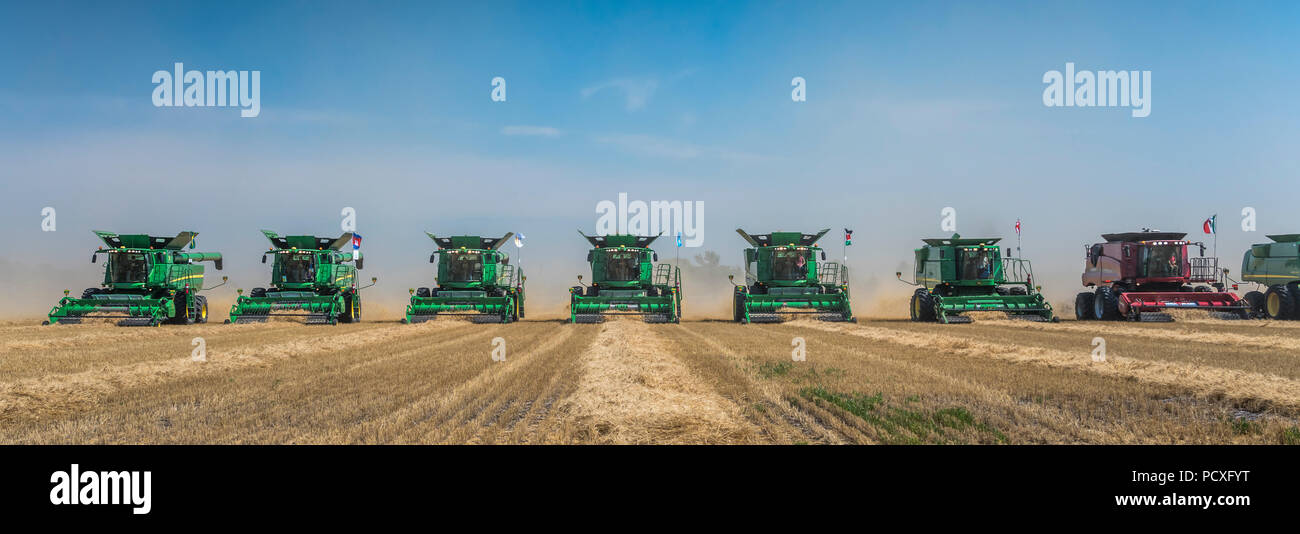 Farm combines harvesting a field of wheat in a Harvest for Kids, an ...