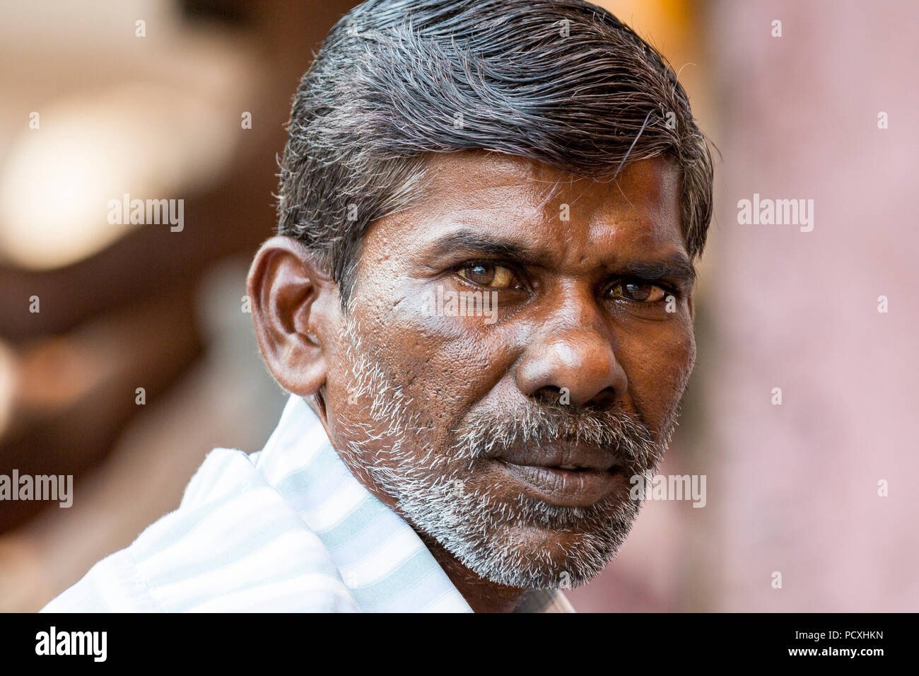 Handsome old tamil man hi-res stock photography and images - Alamy