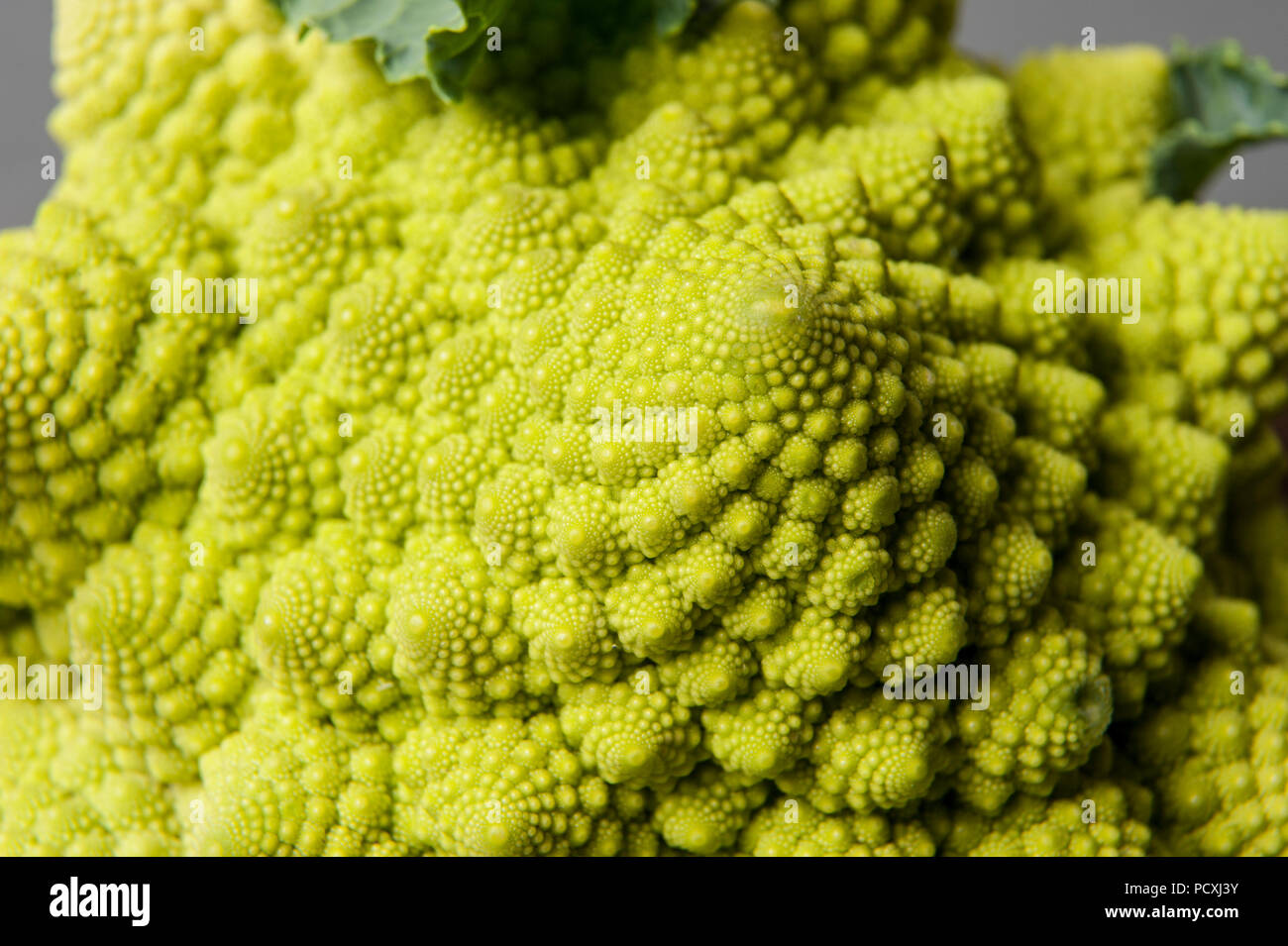 Romanesque broccoli hi-res stock photography and images - Alamy