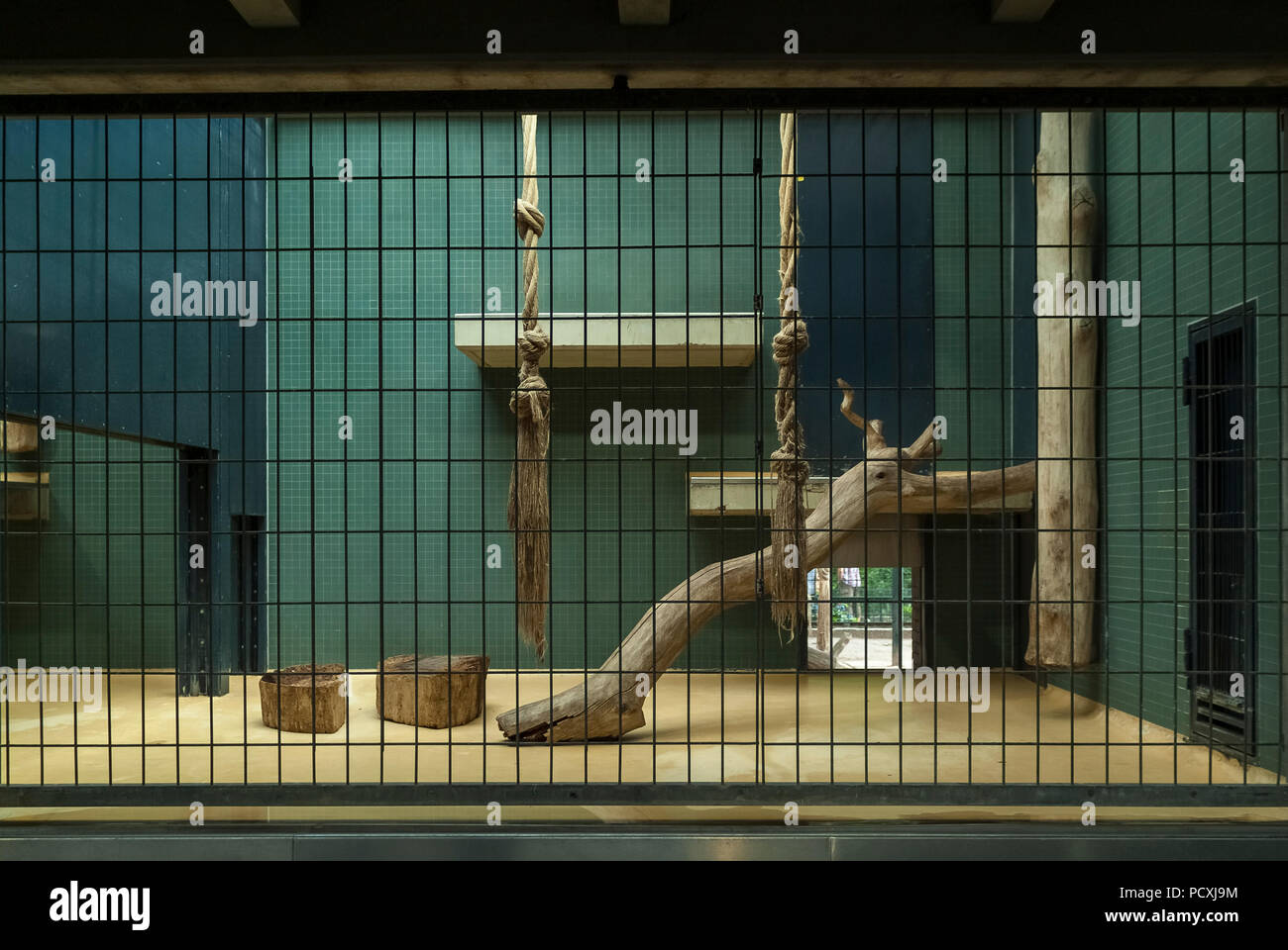 Empty zoo animal cage hi-res stock photography and images - Alamy