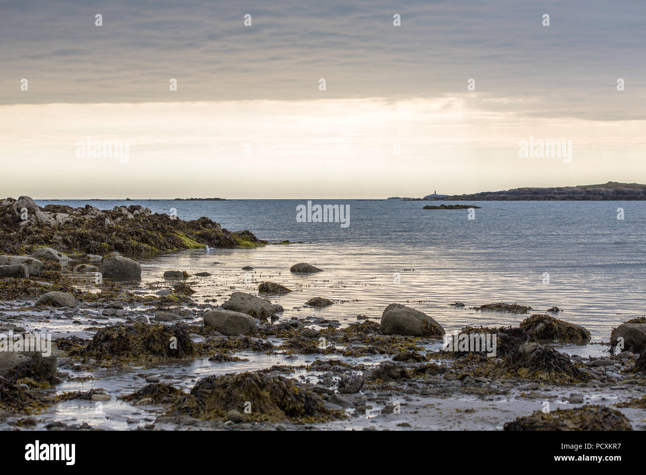Traeth crigyll wales hi-res stock photography and images - Alamy