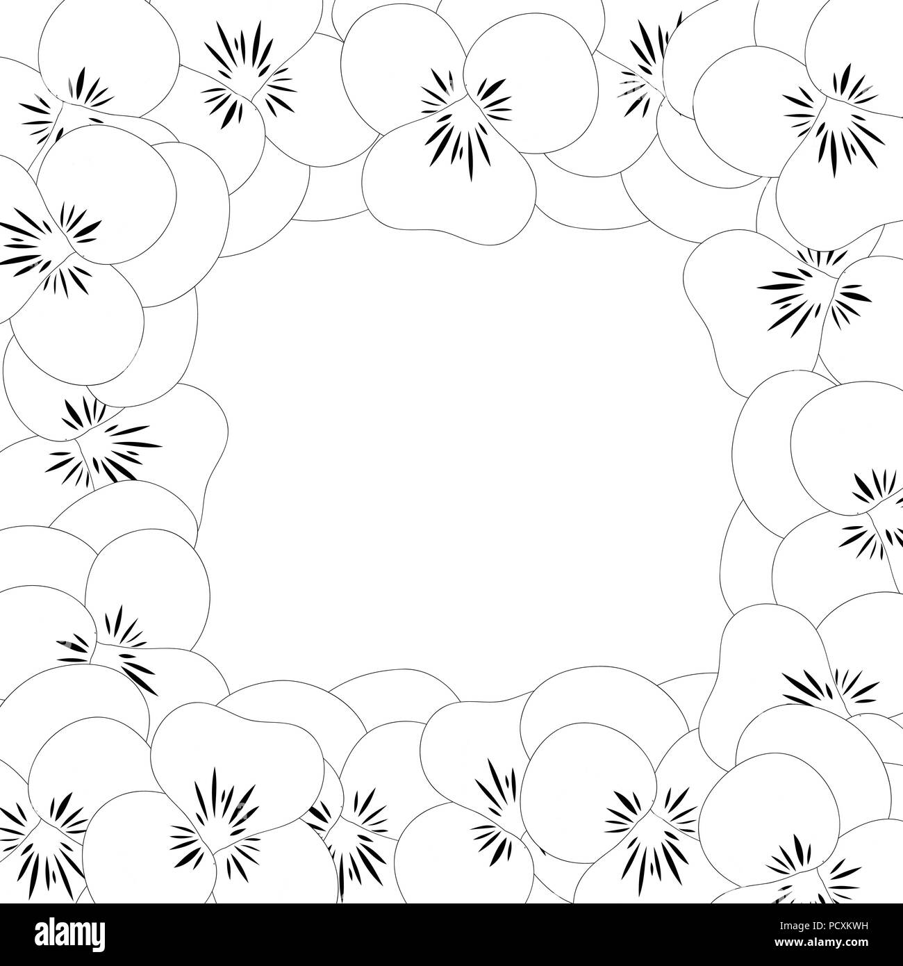 Viola Garden Pansy Flower Outline Border. Vector Illustration Stock ...