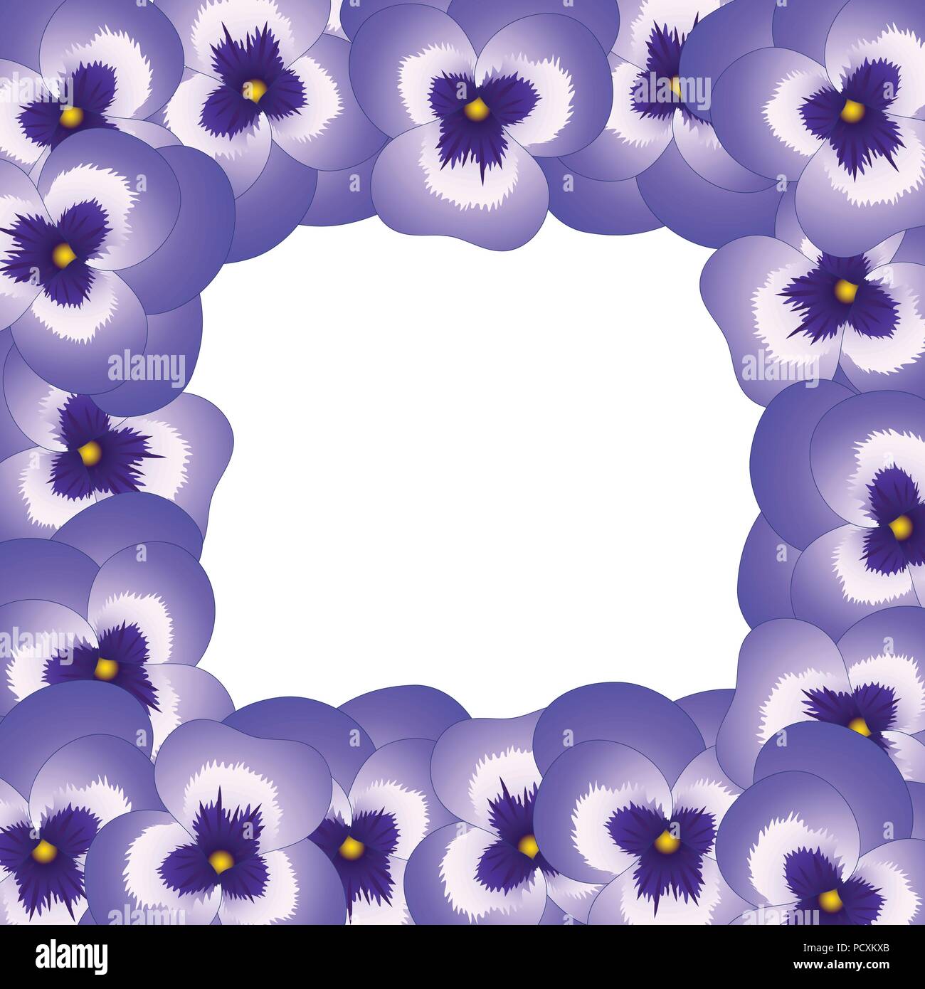 Violet Viola Garden Pansy Flower Border. Vector Illustration Stock ...