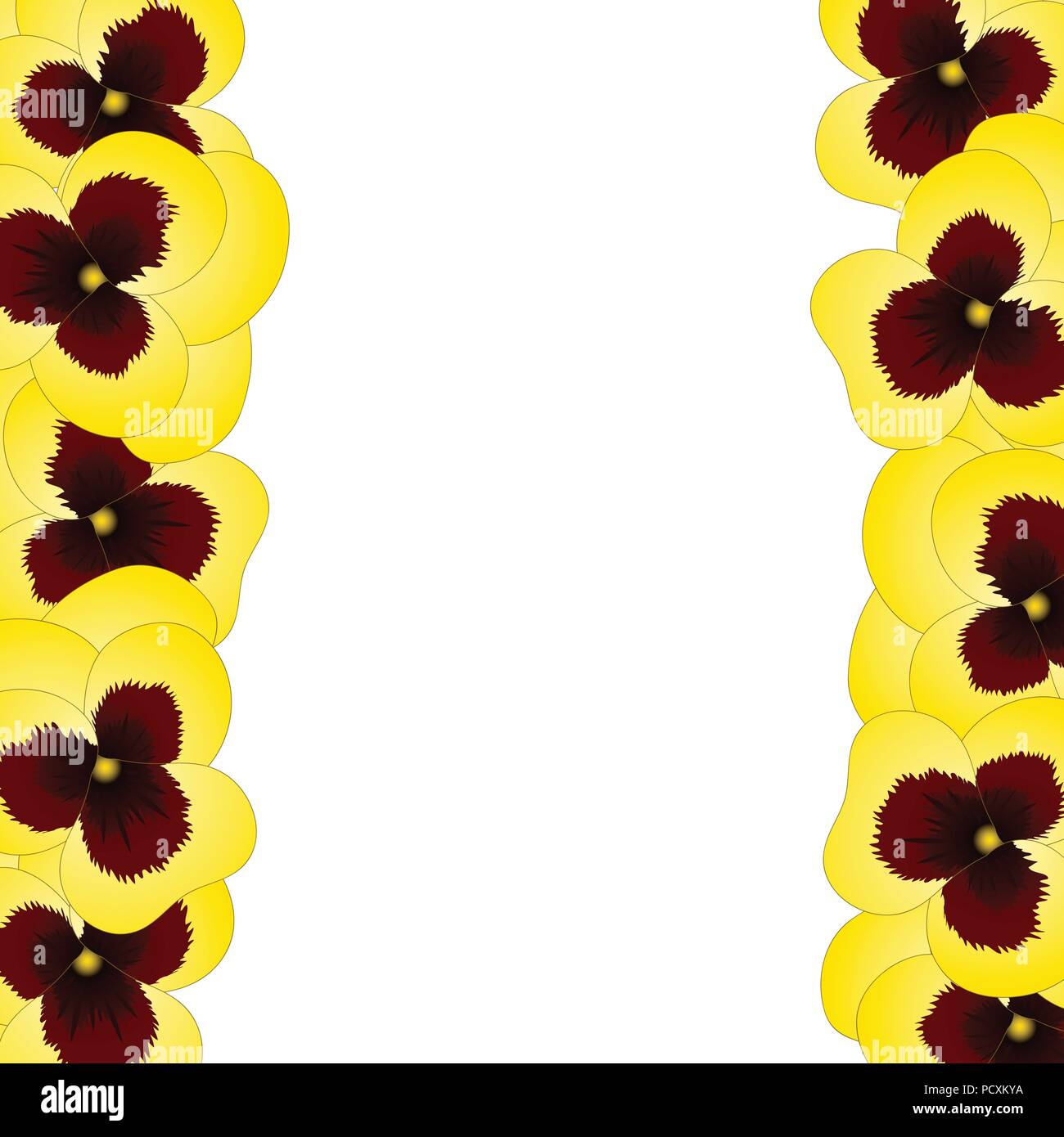 Yellow Viola Garden Pansy Flower Border. Vector Illustration Stock ...