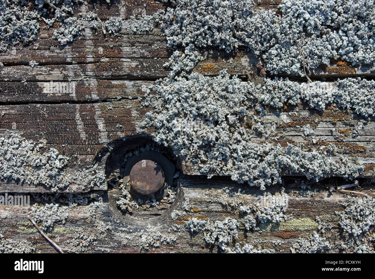 Old Bolt High Resolution Stock Photography and Images - Alamy