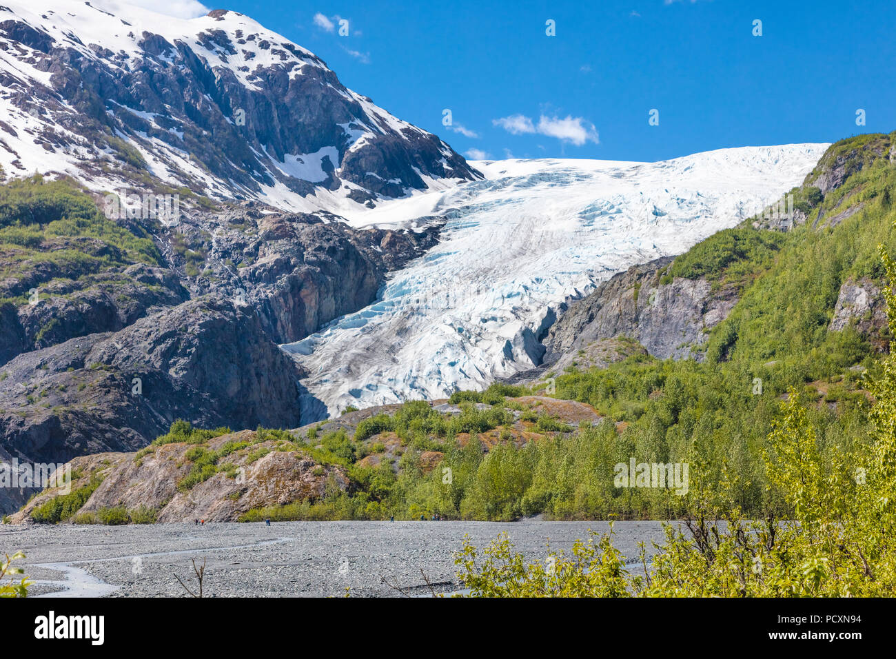 Kenai Fjords National Park's Exit Glacier in Seward Alaska Stock Photo ...
