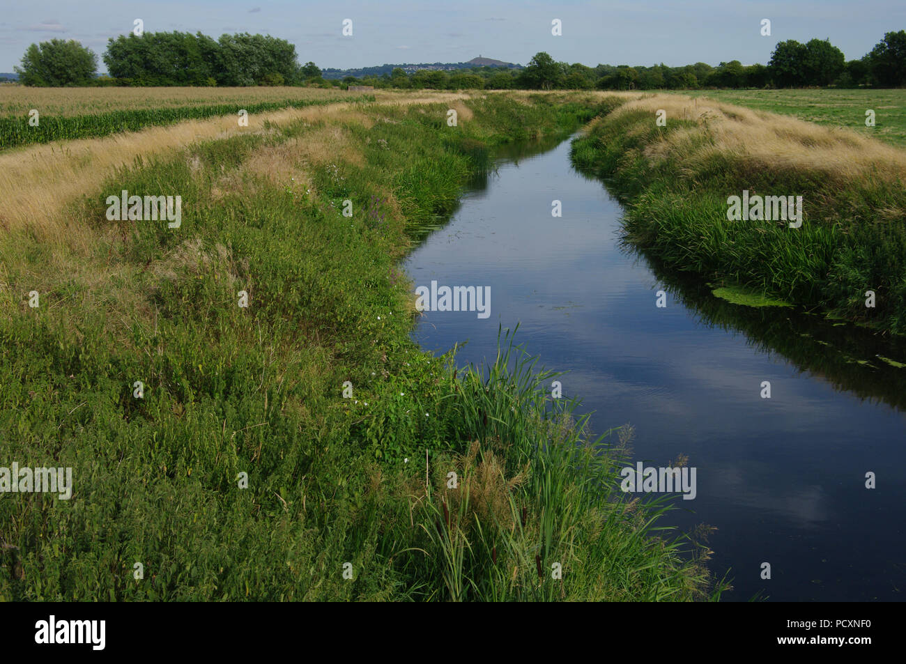 River Brue, Westhay, Somerset Stock Photo - Alamy