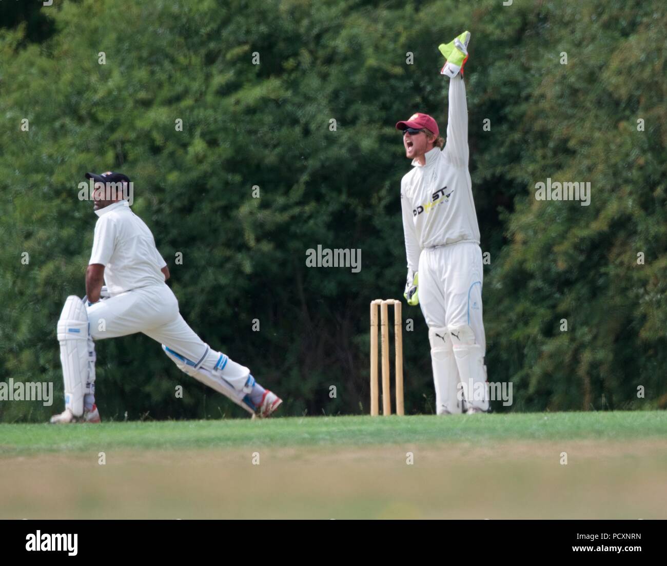 Wicket Keeper Stock Photos & Wicket Keeper Stock Images - Alamy