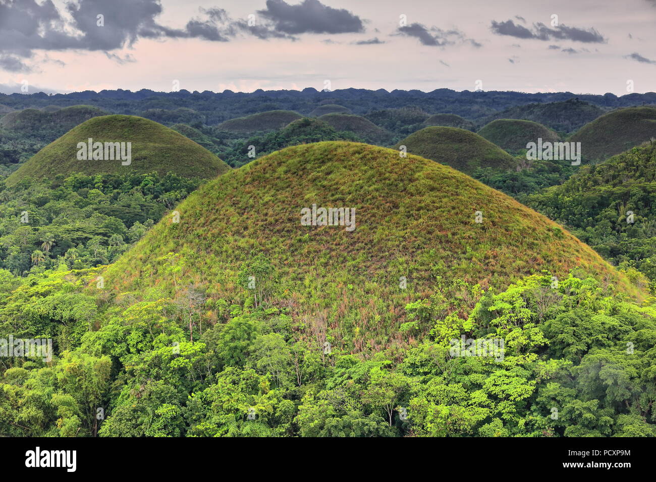 Conical karst topography hi-res stock photography and images - Alamy